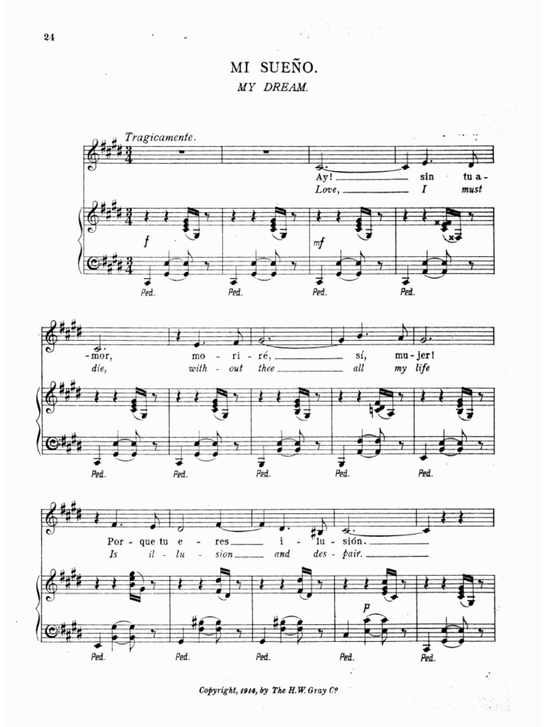 Mi Sueno | PDF