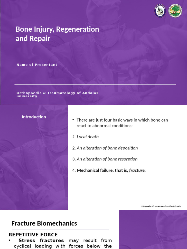 Bone Injury, Regeneration and Repair | PDF | Bone | Fracture