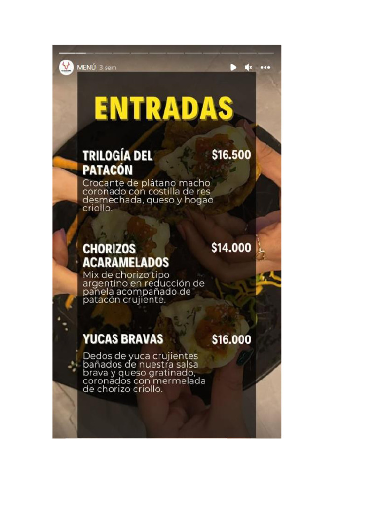 Vacco Stik | PDF