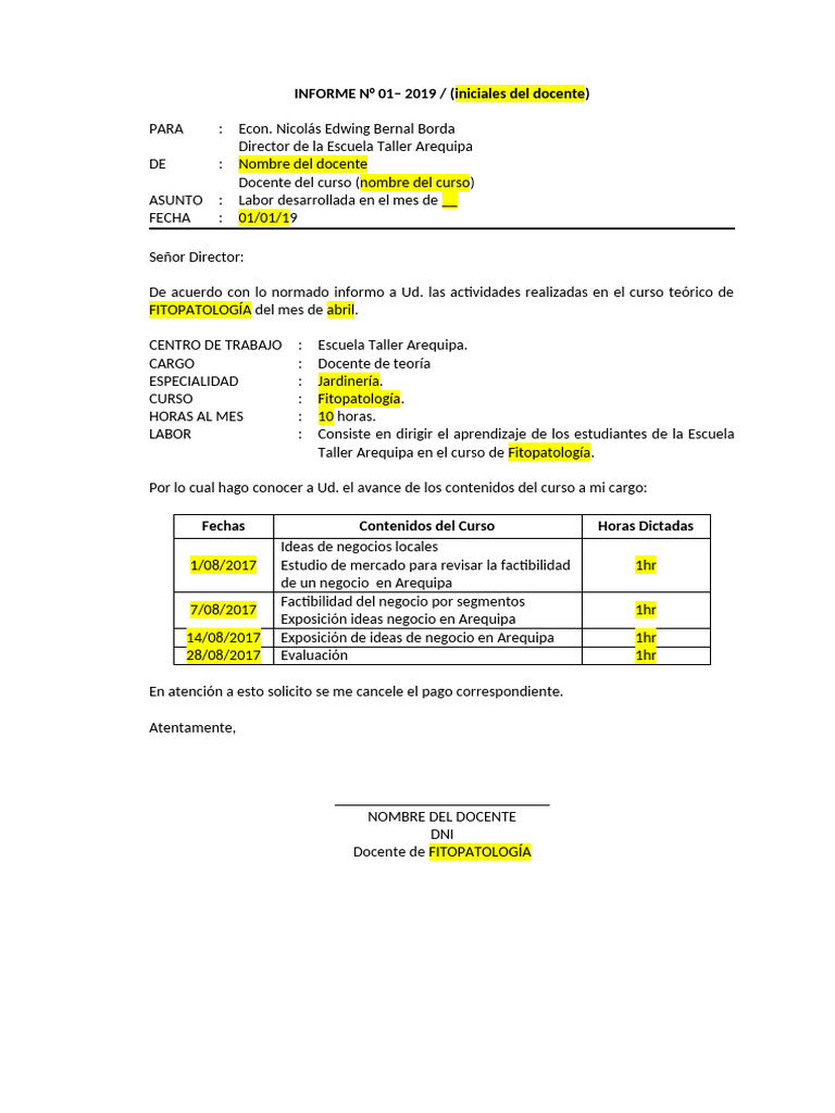 MODELO informe mensual | PDF