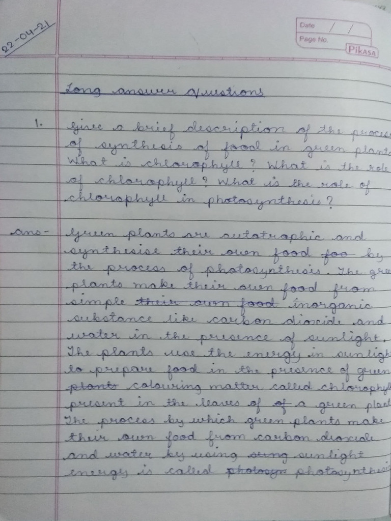 Aarav Krithik Science Worksheet | PDF