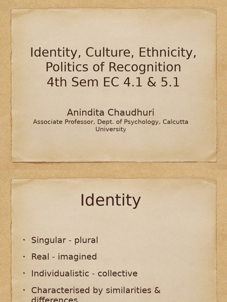 Politics of Recognition in Identity Formation | PDF | Identity (Social ...