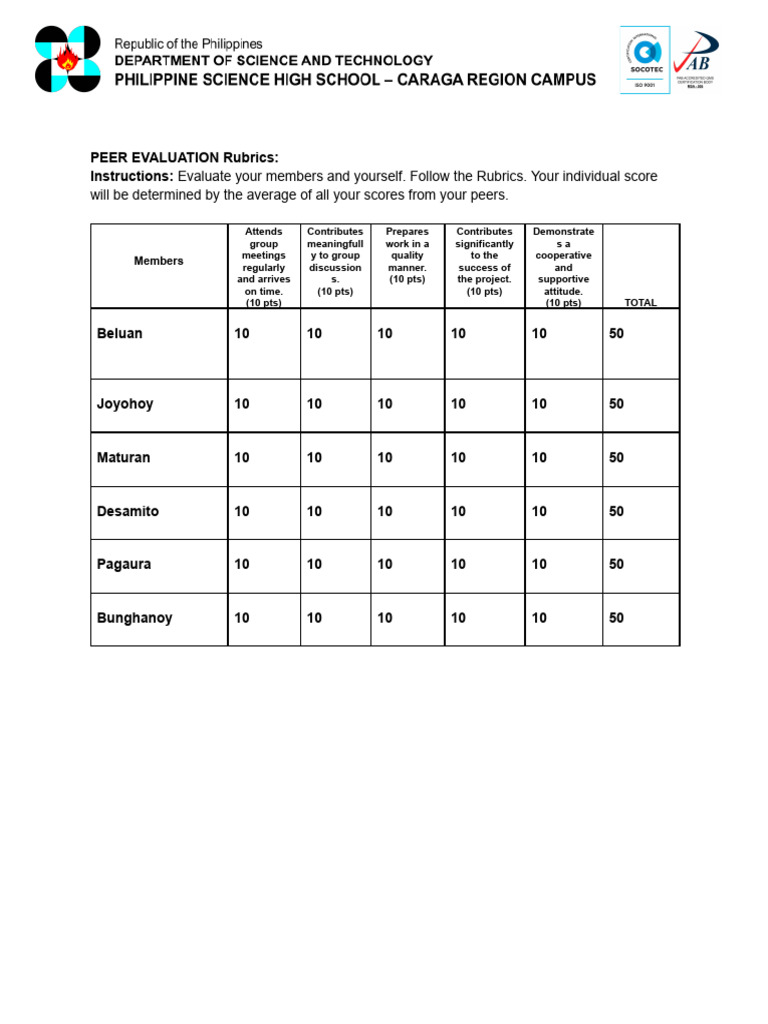 PEER EVALUATION | PDF
