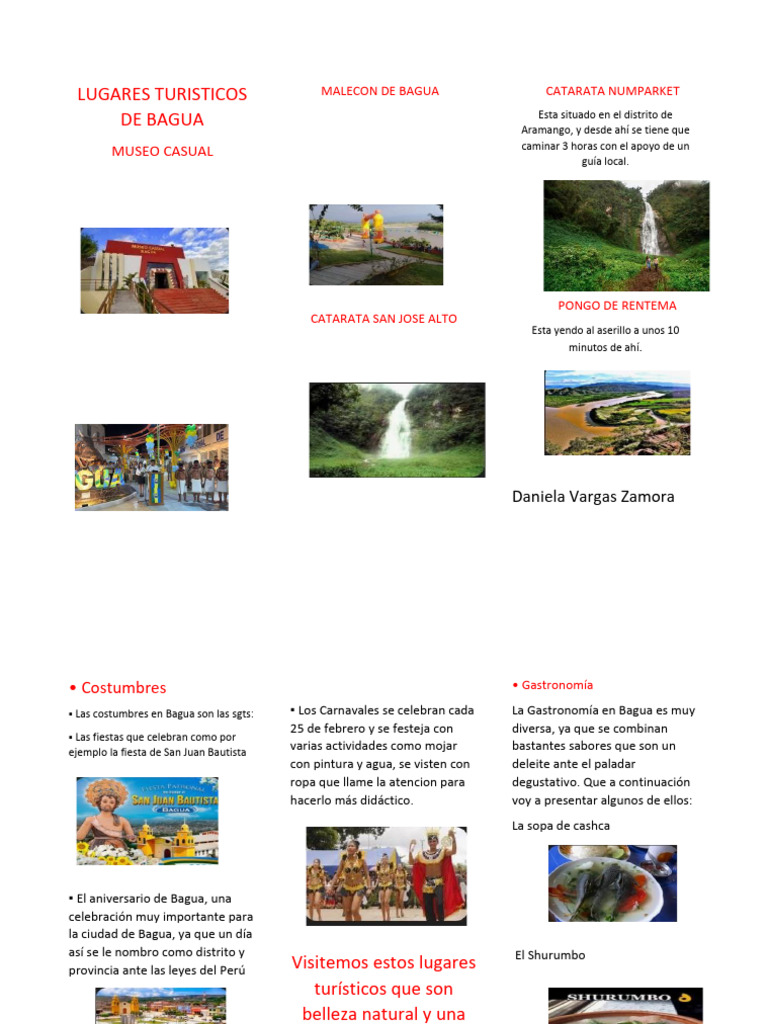 Daniela Vargas Zamora | PDF