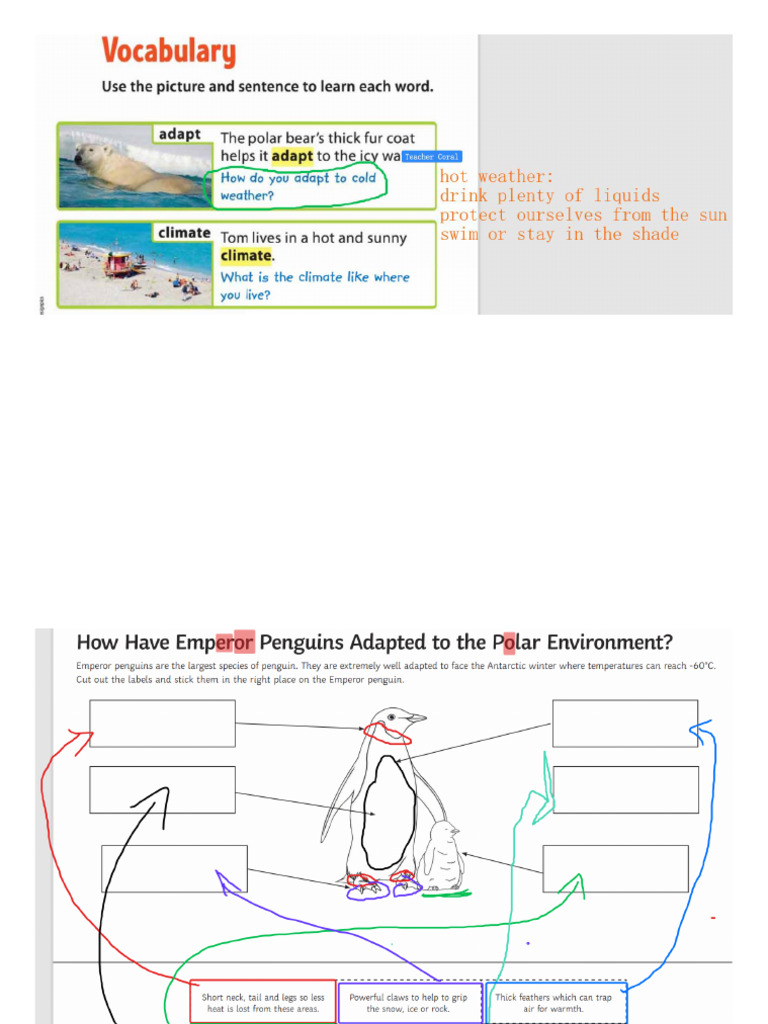 2.1 class notes Elsa | PDF
