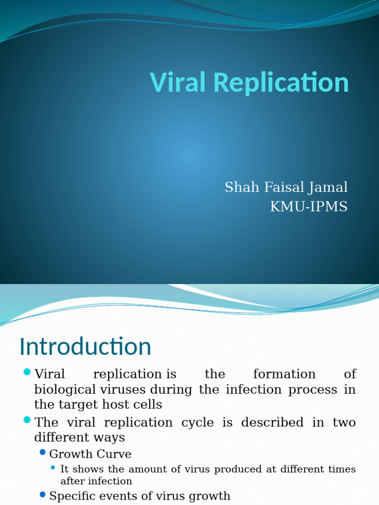 Understanding Viral Replication Process | PDF | Virus | Rna