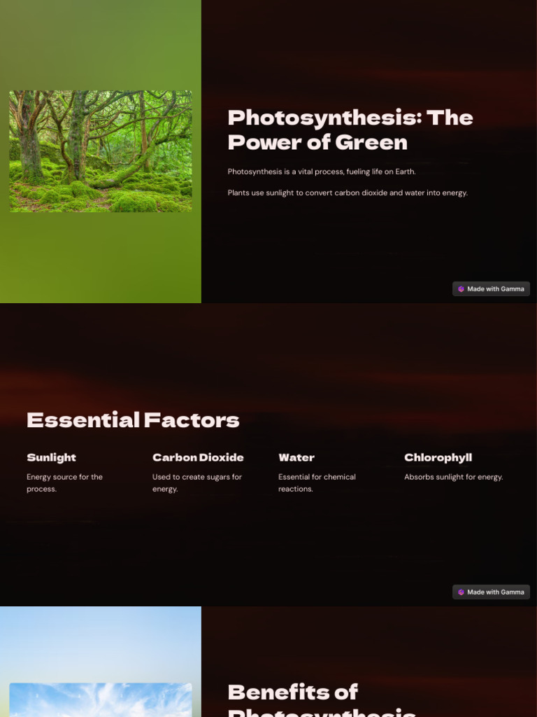 Photosynthesis: Key to Life on Earth | PDF | Wellness | Science ...