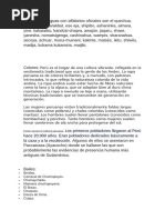 Significado y origen de "cholo" en Perú | PDF | Perú