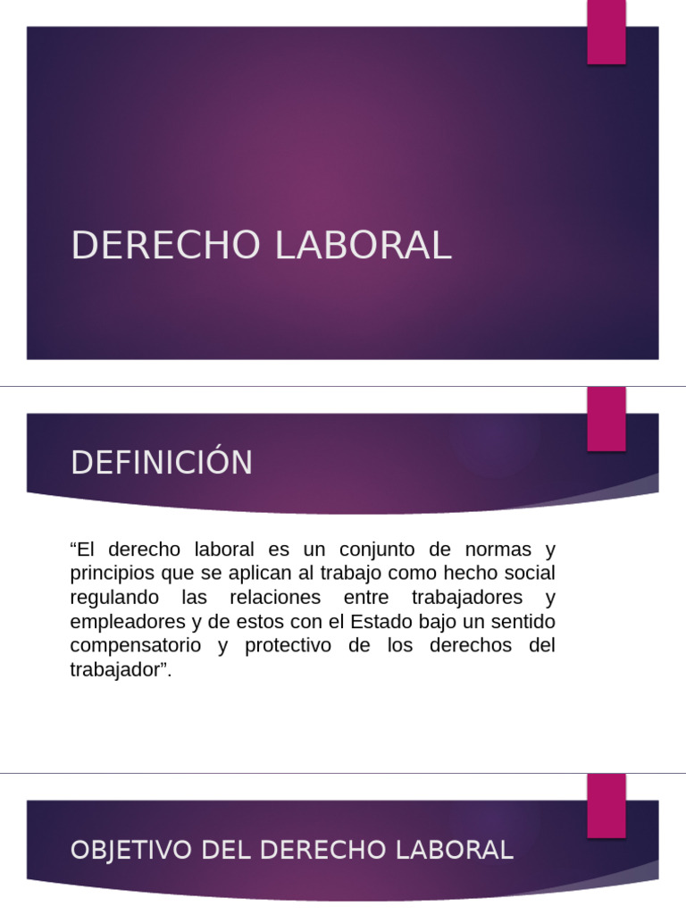 Derecho Laboral | PDF | Derecho laboral | Justicia