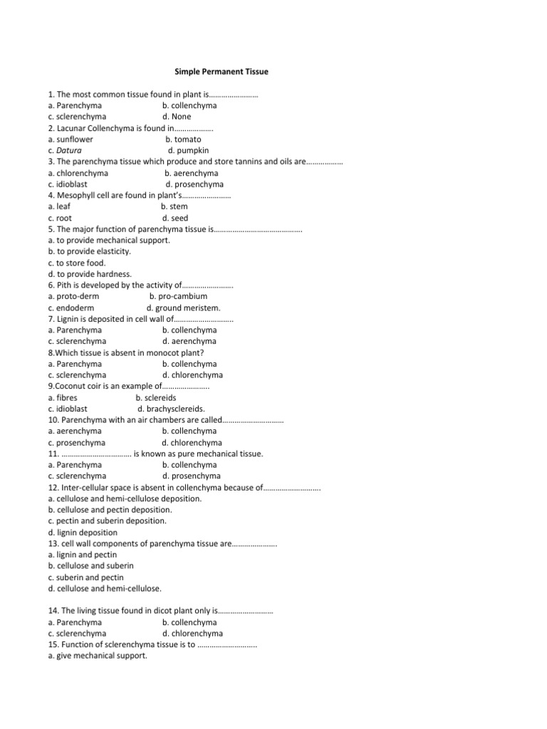 Simple Permanent Tissue 21 | PDF | Tissue (Biology) | Microscopy