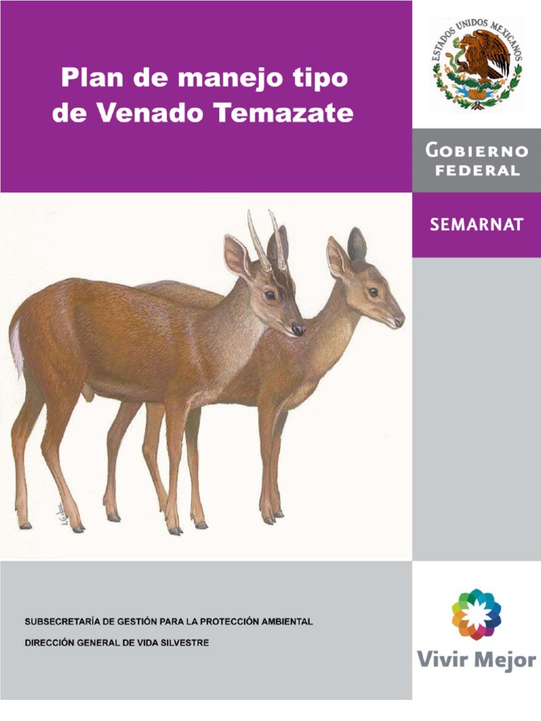 PMT Temazate Actualizado | PDF | Habitat | Fuego fatuo