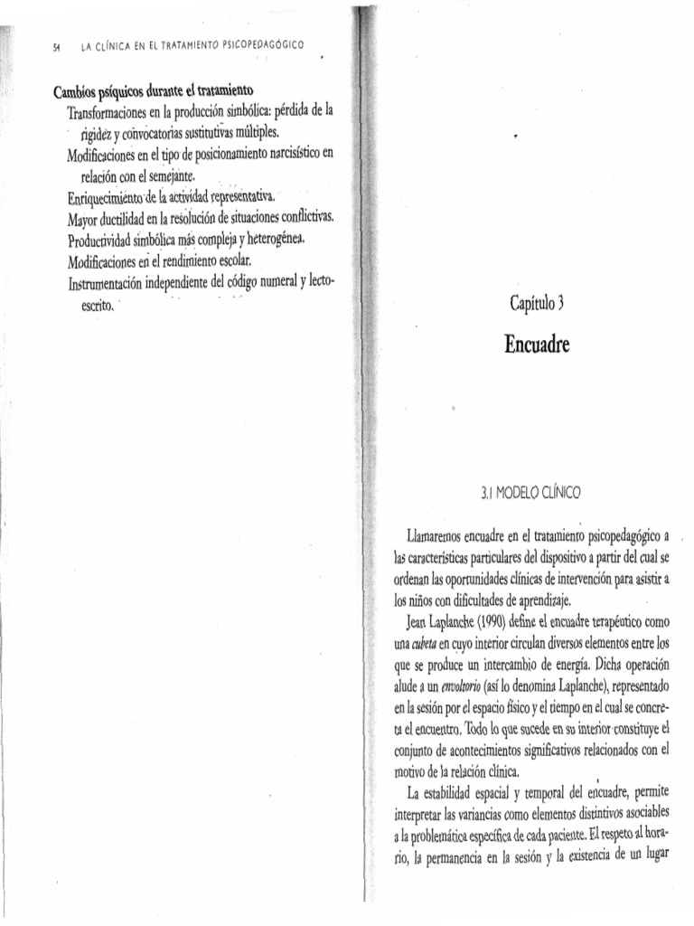 Schlemenson. La Clínica en El Tratamiento Cap3 | PDF