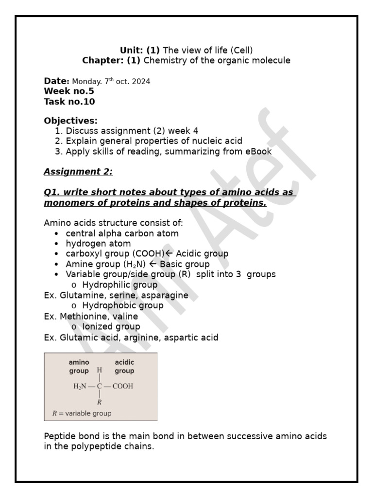 AP - Bio Sheet Week5 Task10 | PDF | Science & Mathematics