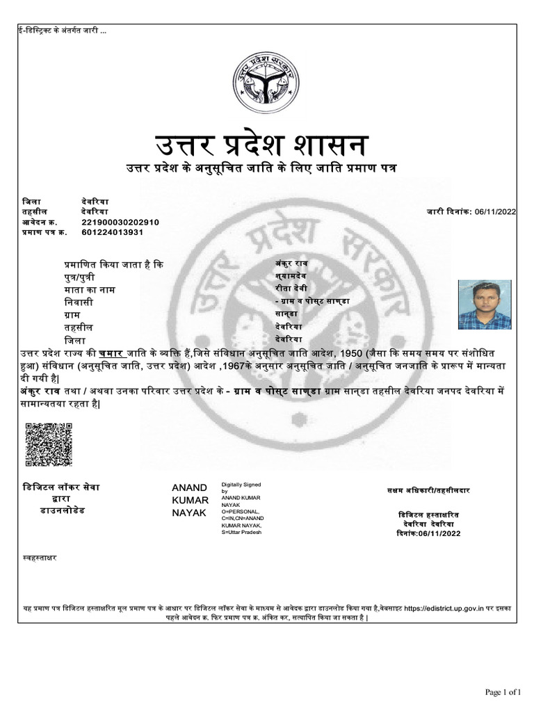 In Nic Up edistrict-CTCER-221900030202910X601224013931 | PDF
