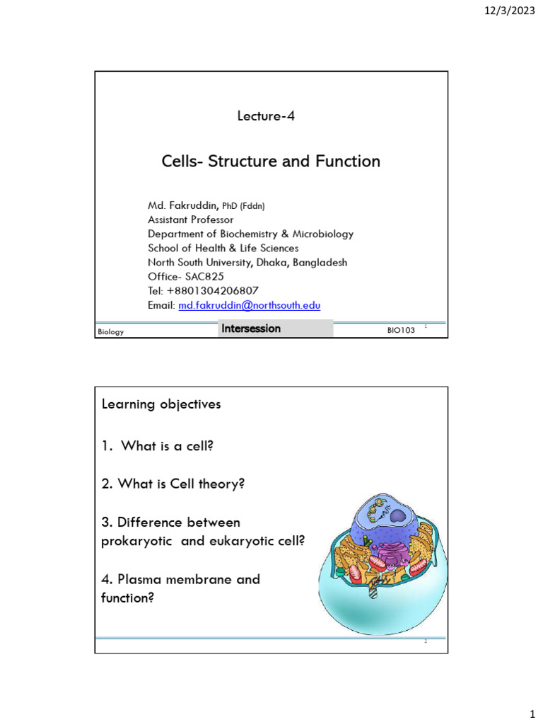 BIO-103-Intersession-L4-Fddn-Cells-structure and Function | PDF | Cell ...
