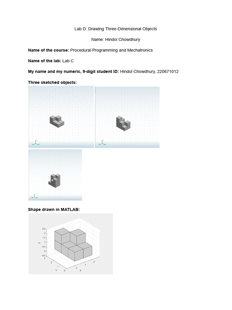 Lab D_ Drawing Three-Dimensional Objects | PDF