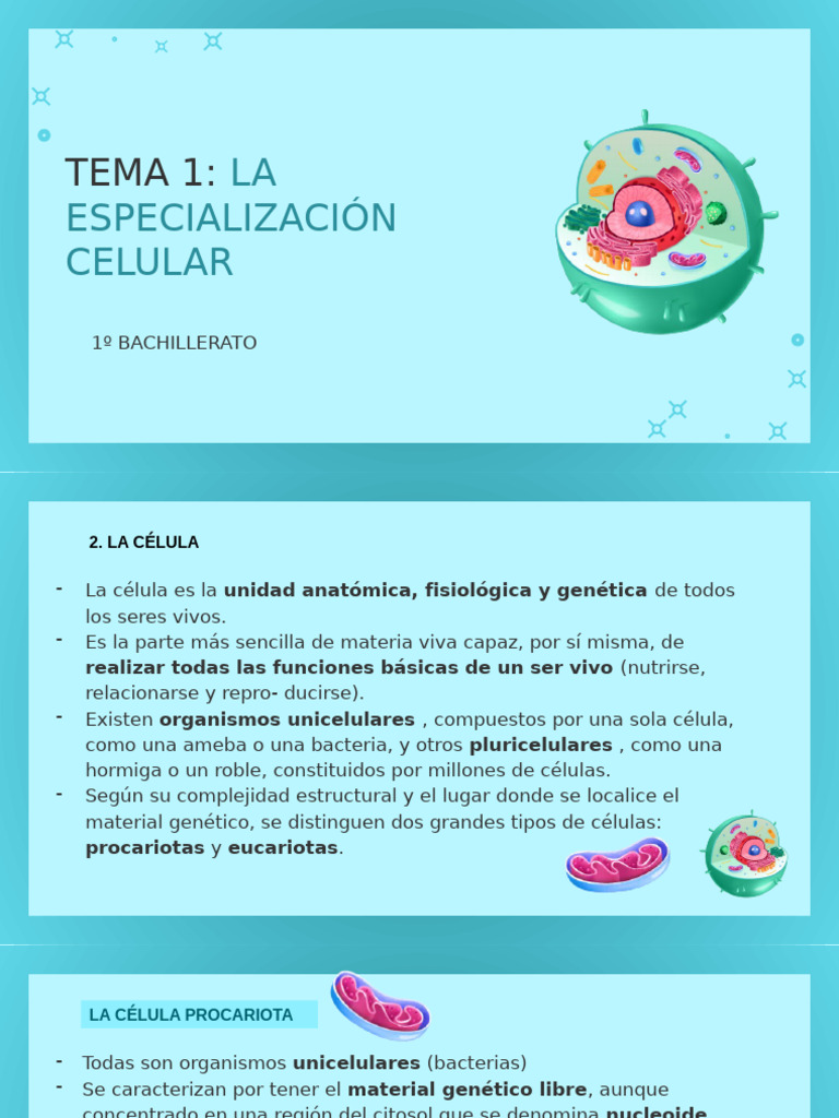 Especialización Celular y Tipos de Tejidos | PDF | Biología Celular) | Membrana celular
