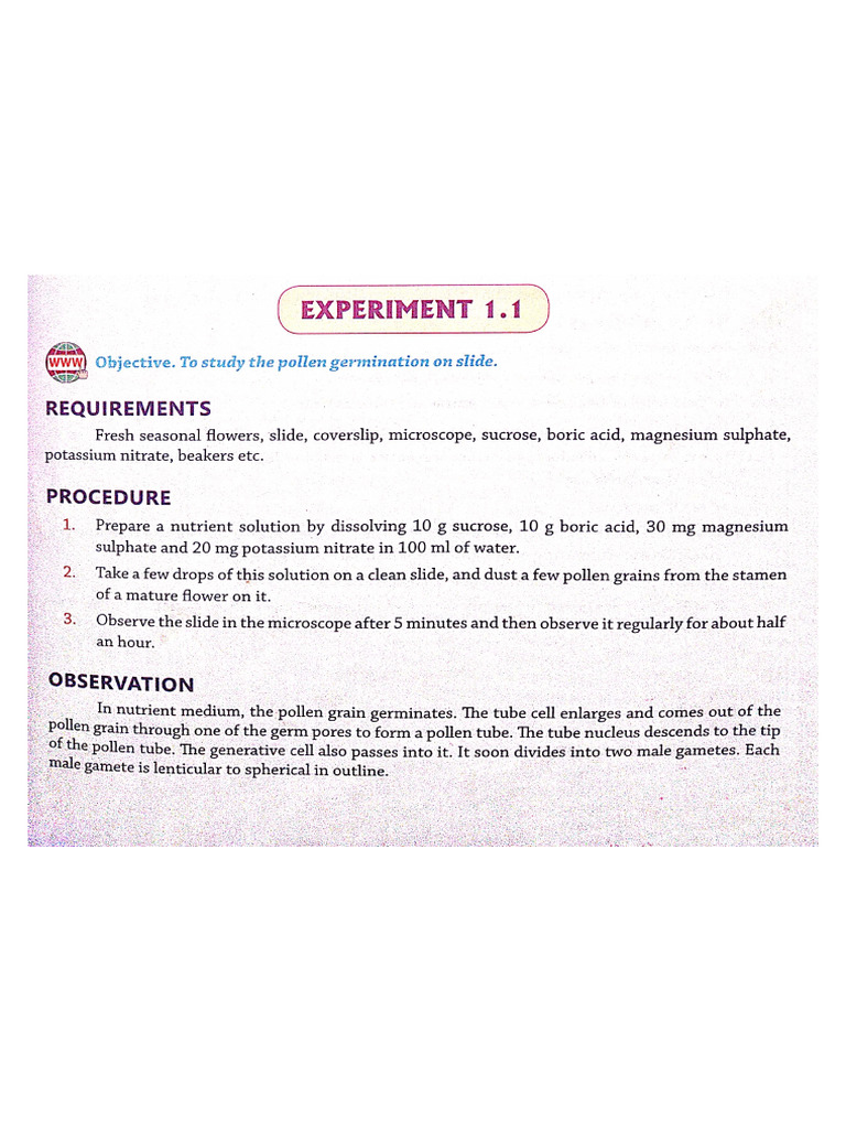 Biology Practical File | PDF
