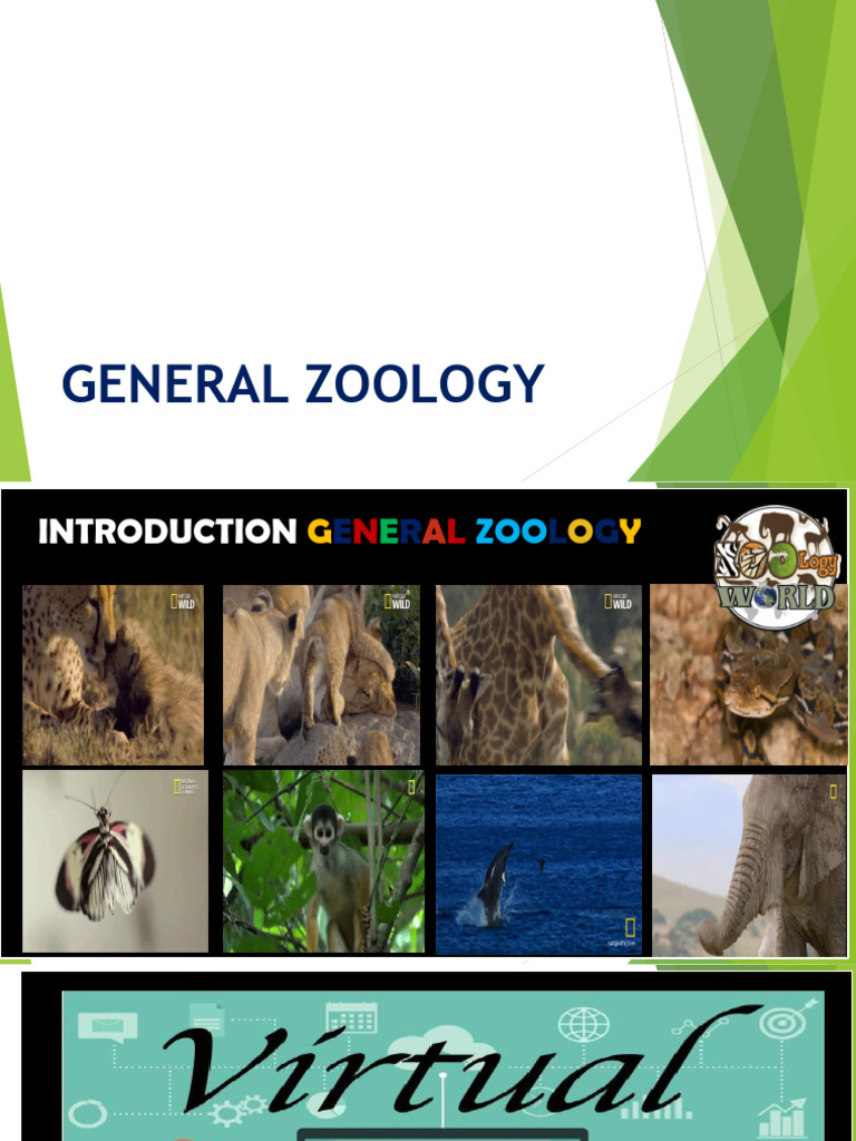 Lesson-1-Intro-to-Zoology-and-Its-Branches | PDF | Zoology | Herpetology