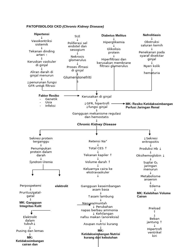 PATOFISIOLOGI_CKD_Chronic_Kidney_Disease | PDF