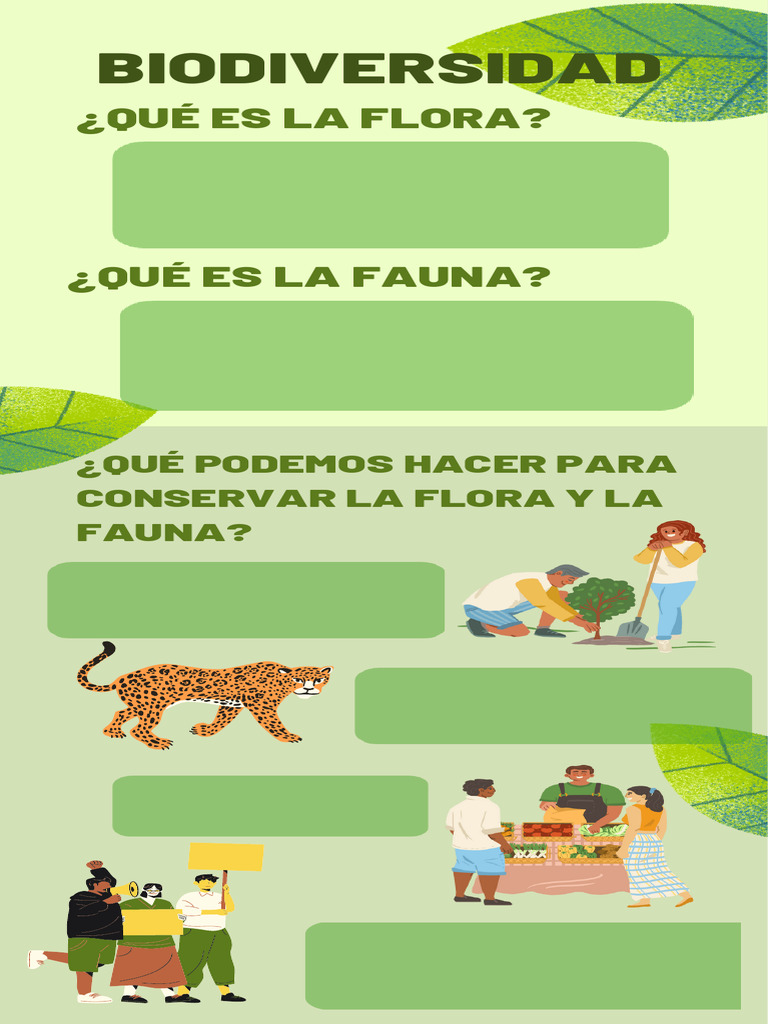 Infografía sobre el cuidado de los ecosistemas | PDF
