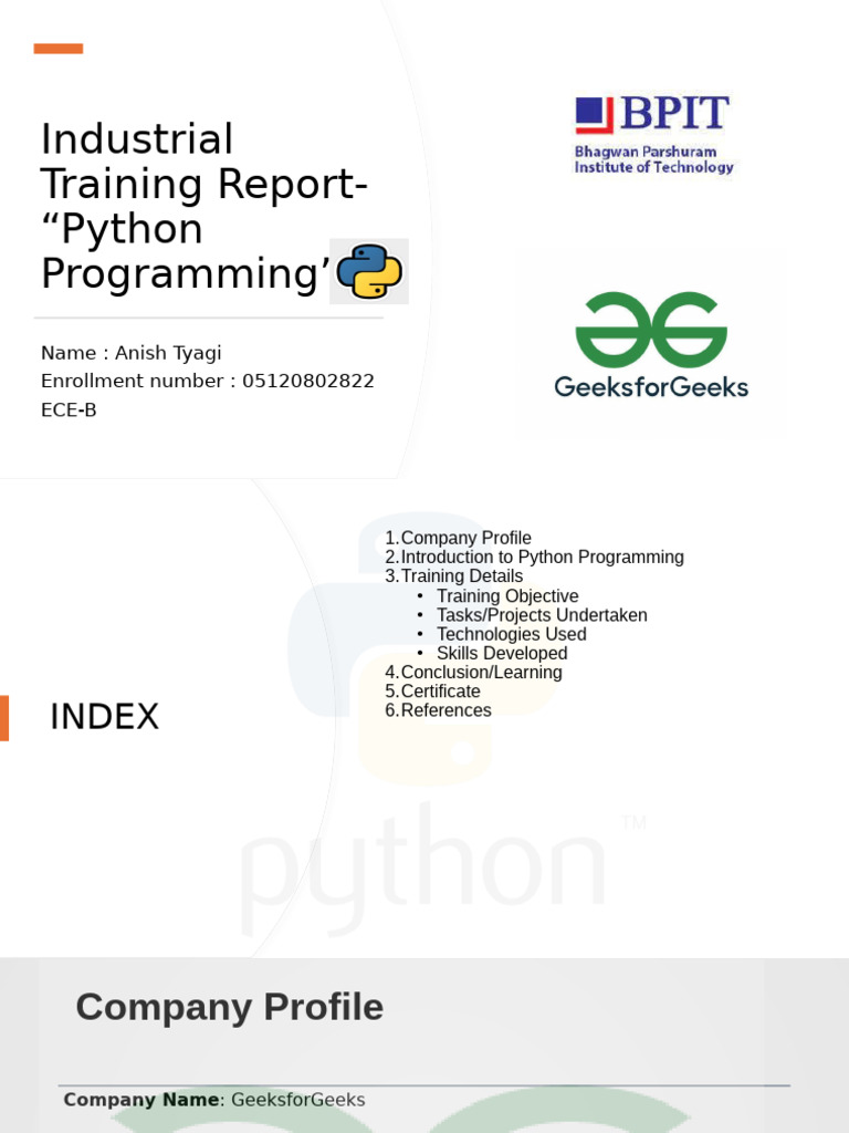 Python Programming Industrial Training Report | PDF | Computer ...