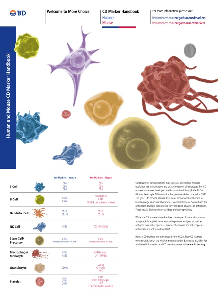 CD Markers Handbook | T Cell | Immune System