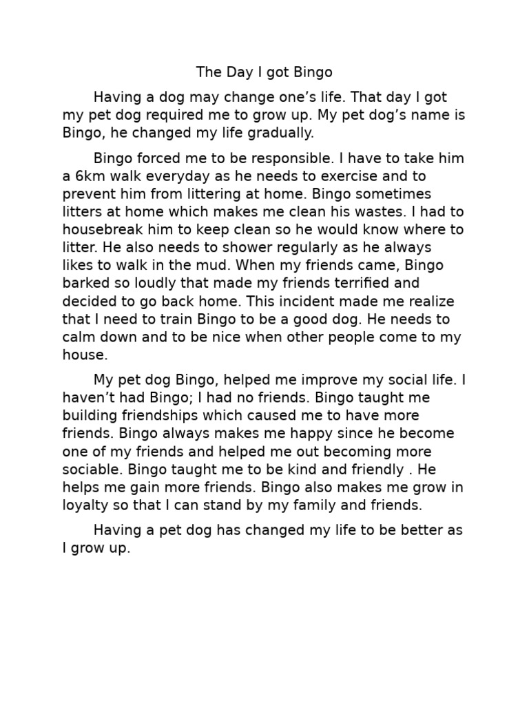 Bingo Pet Dog | PDF | Self-Improvement | Lifestyle