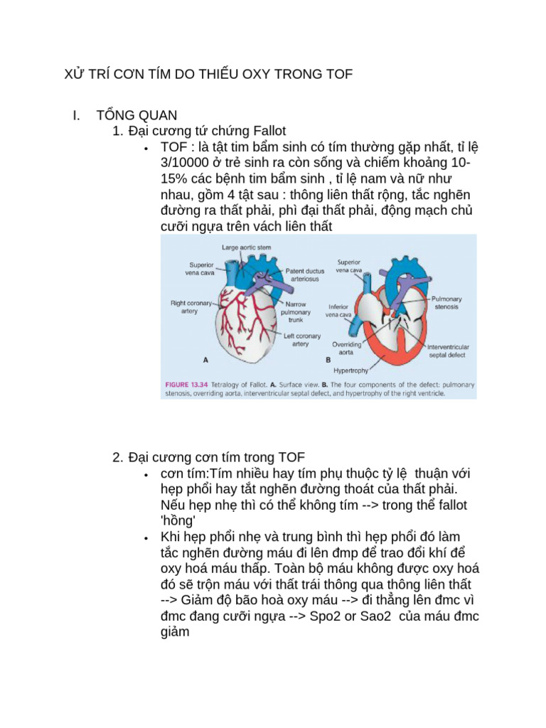 Xử Trí Cơn Tím Do Thiếu Oxy Trong Tof | PDF