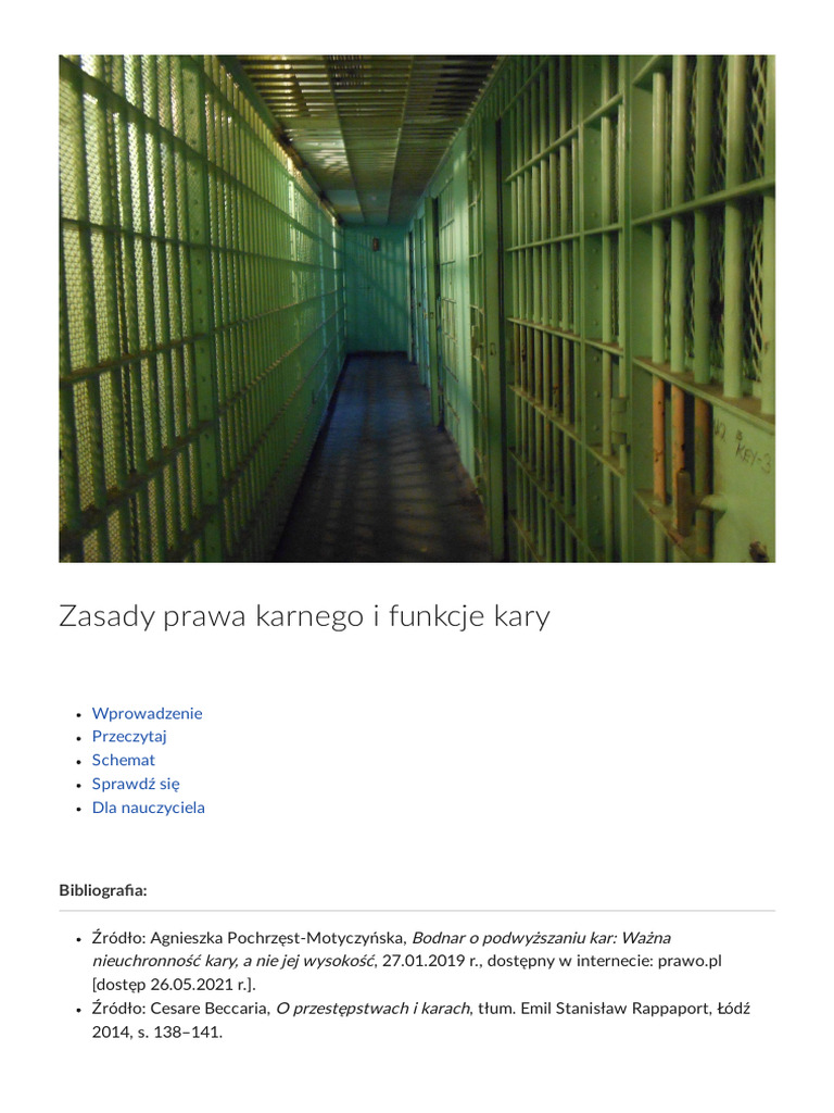 Zasady Prawa Karnego I Funkcje Kary | PDF