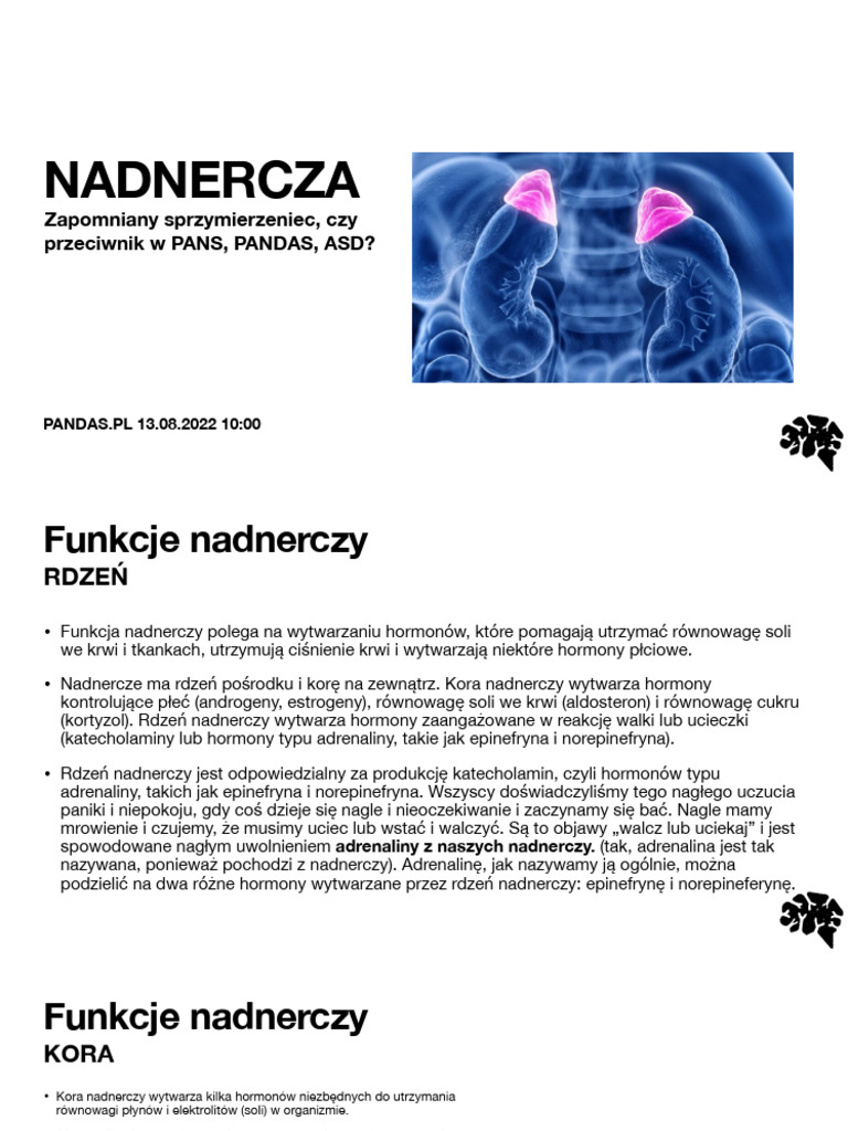 NADNERCZA | PDF