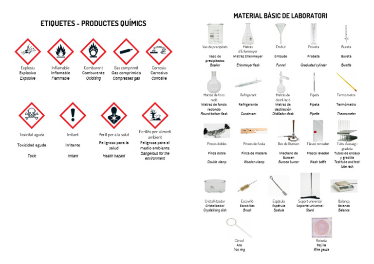 Material laboratori i Pictogrames de seguretat | PDF