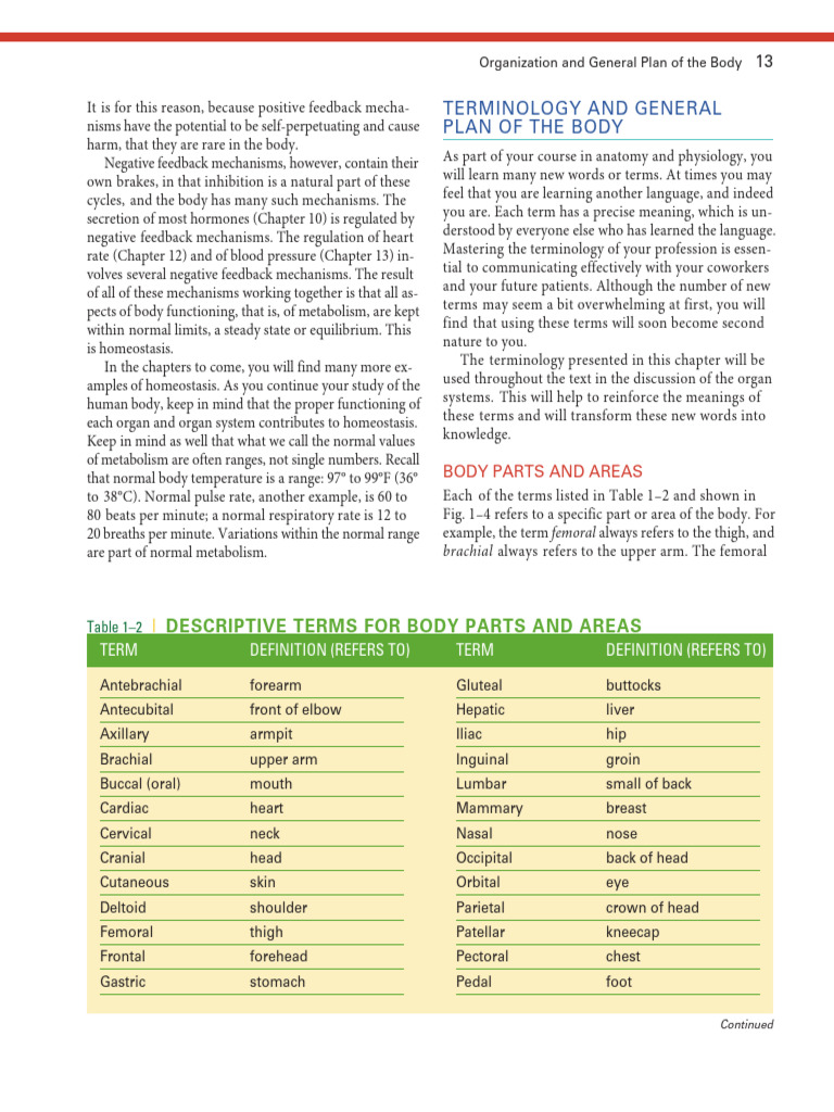 Terminology and General Plan of the Body | PDF | Anatomical Terms Of ...