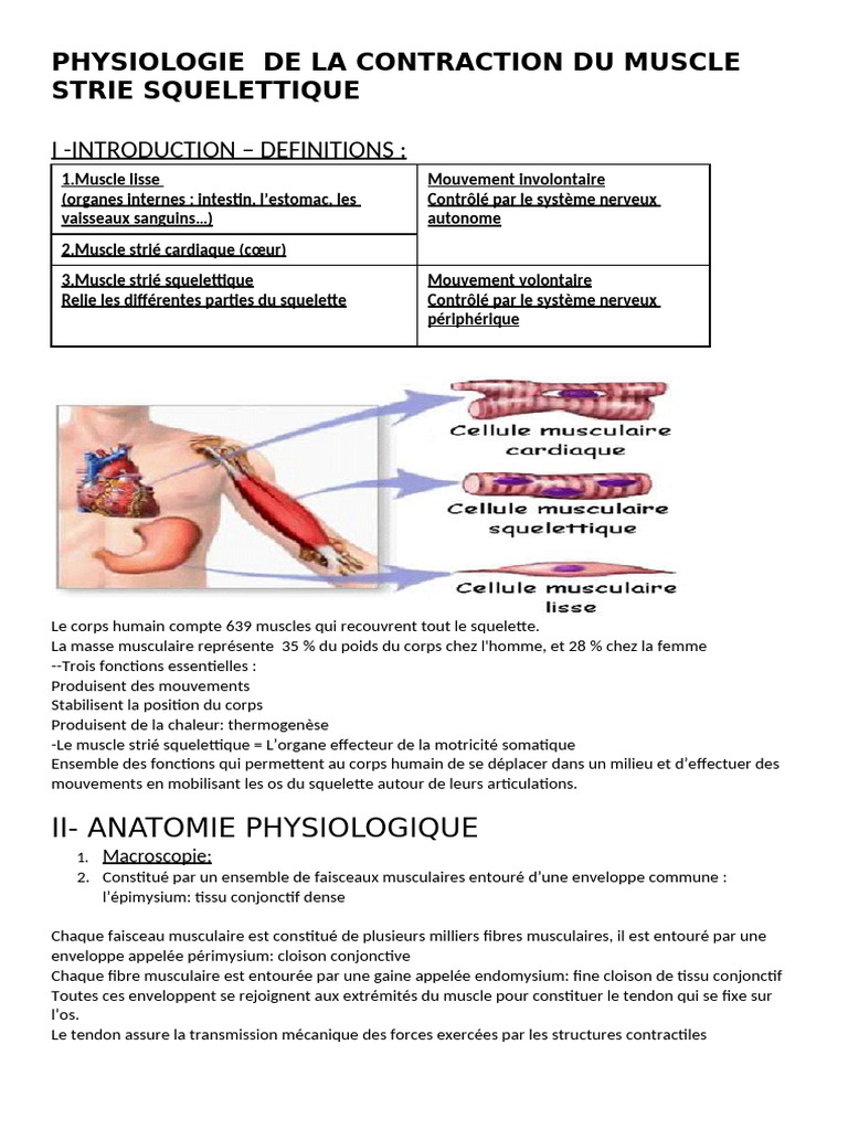 Physiologie de la contraction musculaire | PDF | Contraction du muscle ...