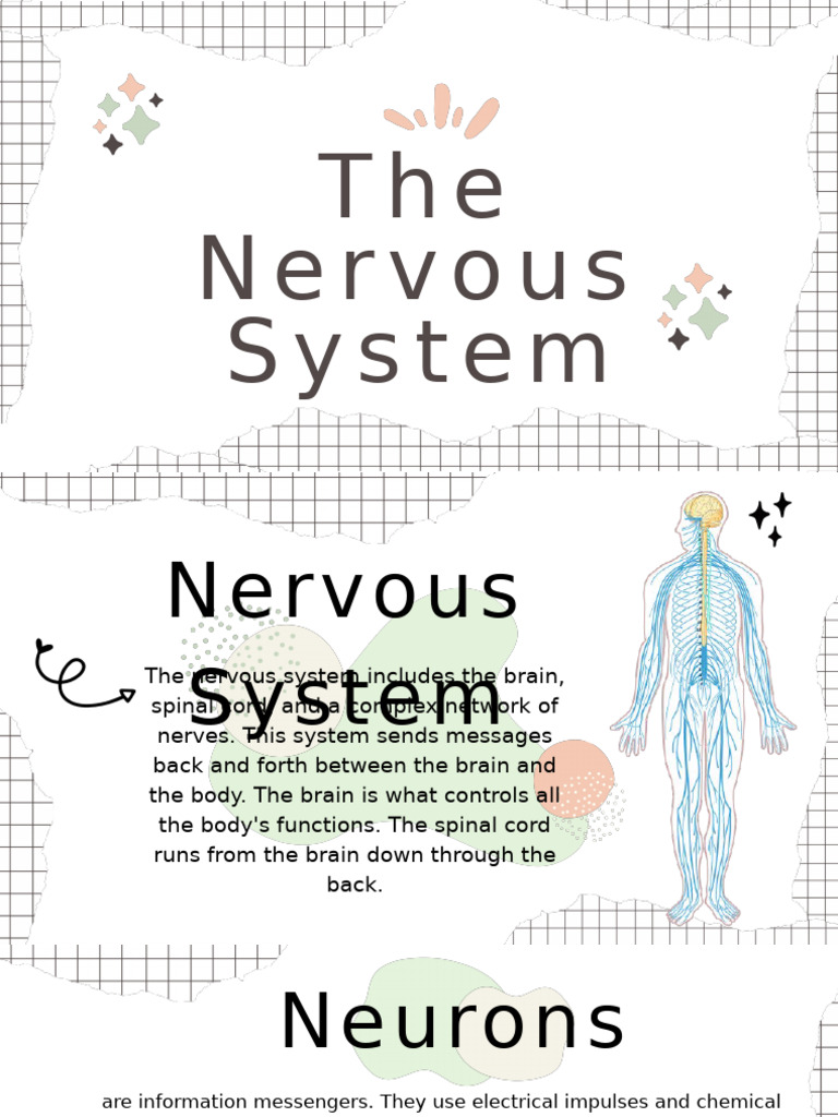 Nicole Presentation | PDF | Nervous System | Central Nervous System
