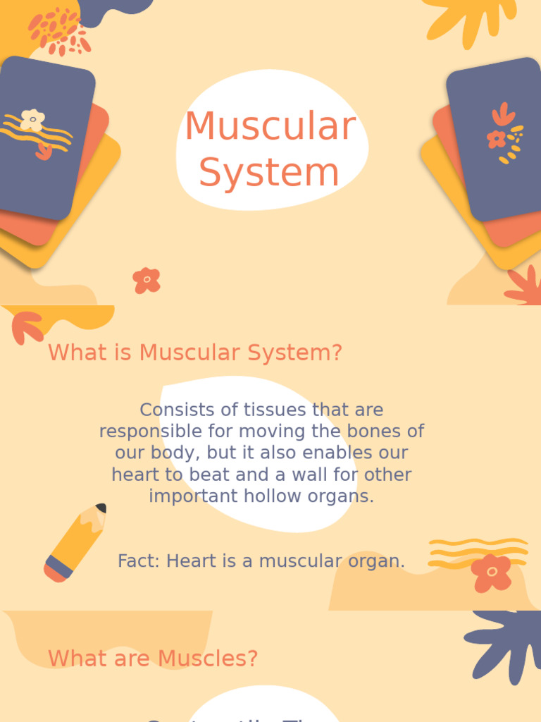 Muscular System | PDF