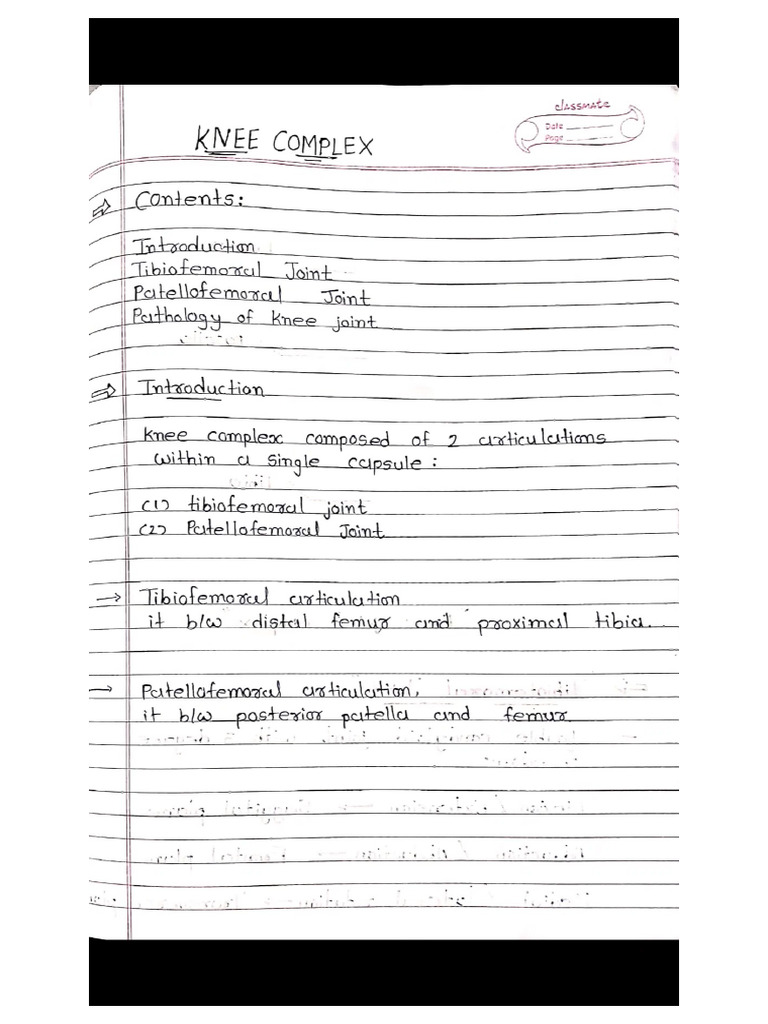 Knee Complex | PDF