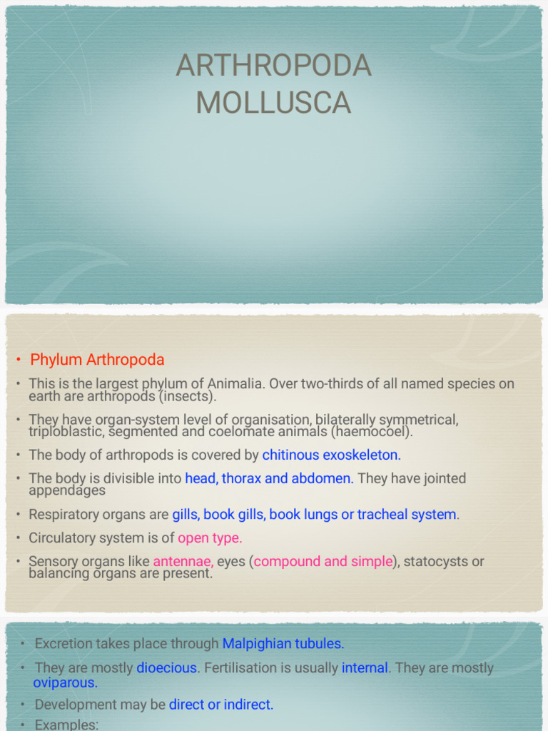 Arthropoda Mollusca | PDF | Mollusca | Insects