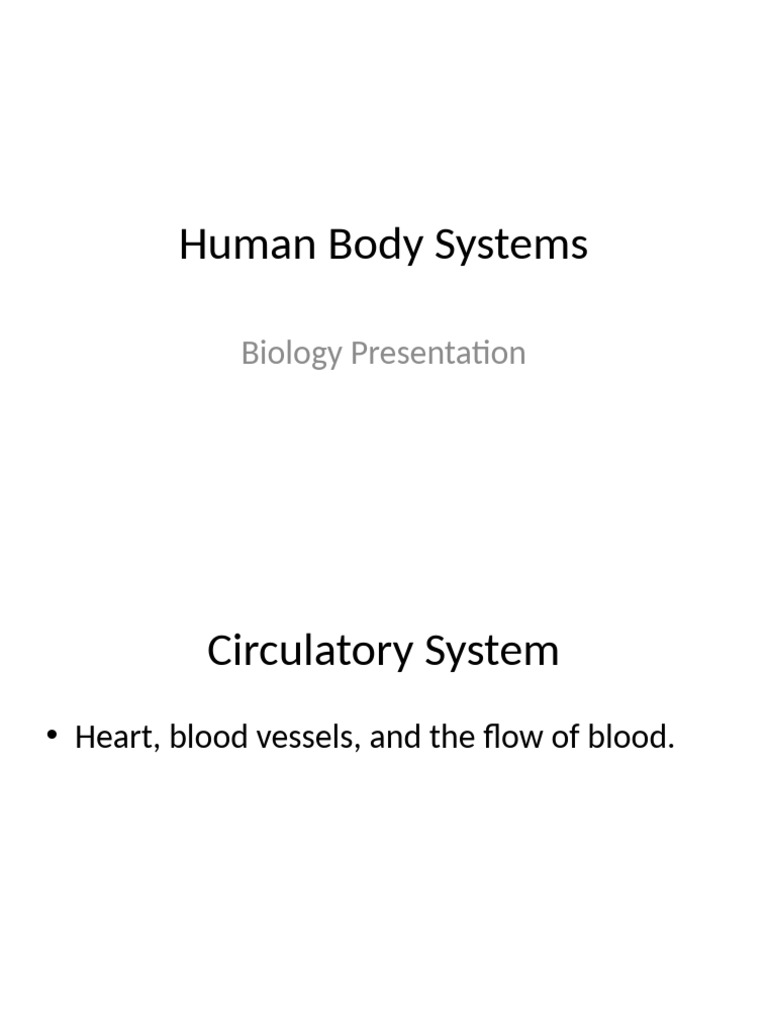 Human Body Systems | PDF