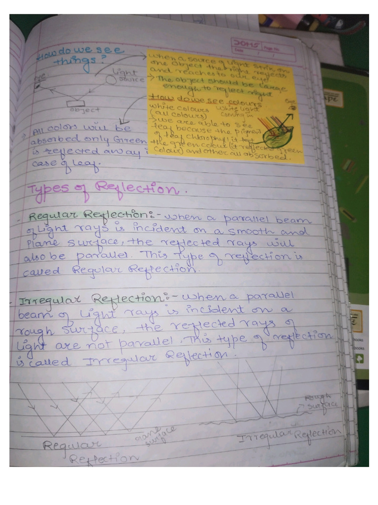 How Do We See Things Important Topic Note | PDF