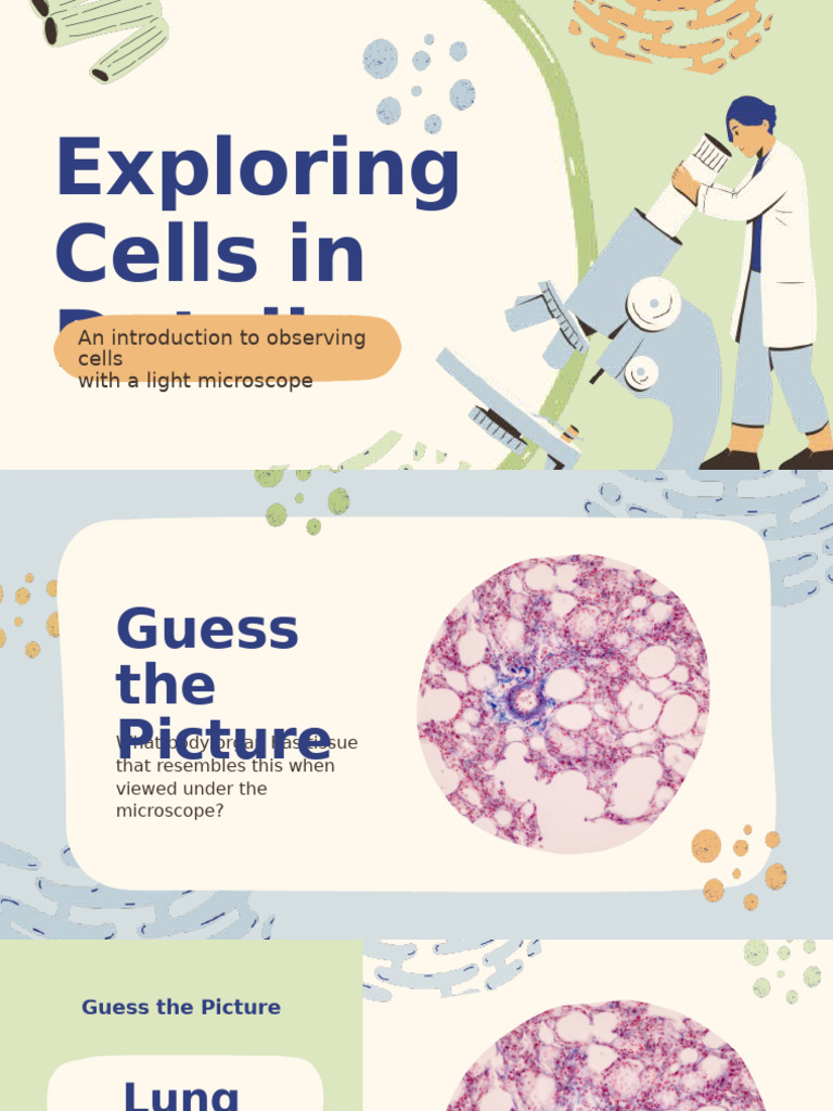 Introduction to Light Microscopy | PDF | Microscope | Cell (Biology)