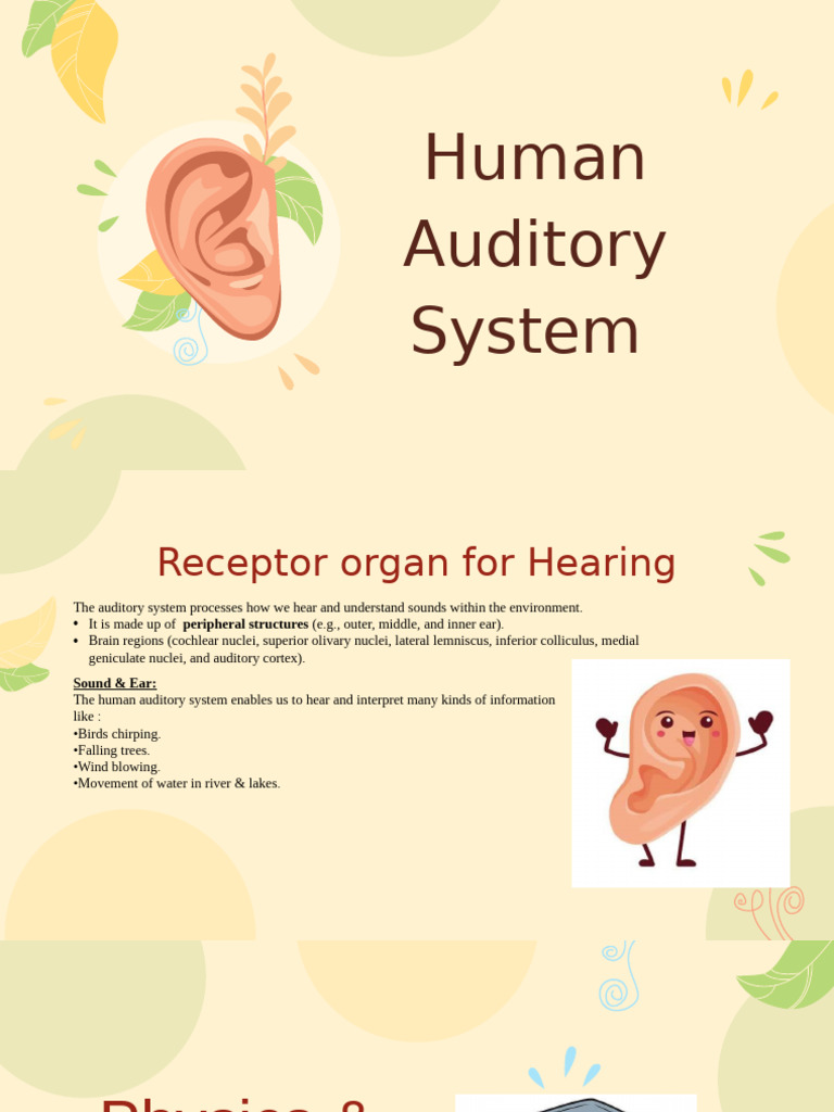 Science Subject For Elementary Ear and Its Parts | PDF | Ear | Hearing Loss