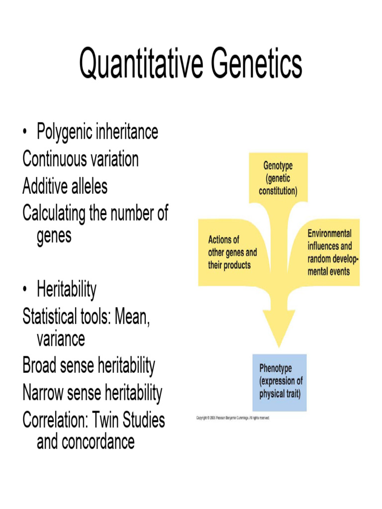 311quantitative Genetics | PDF | Heritability | Quantitative Trait Locus