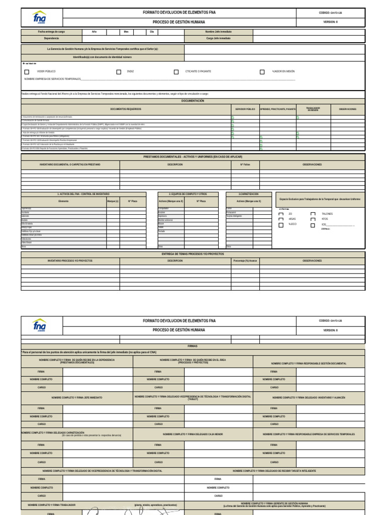 Formato Entrega Elementos Fnav8 | PDF | Tableta | Business