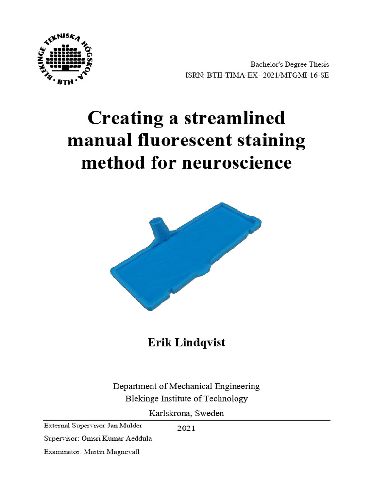 Creating A Streamlined Manual Fluorescent Staining Method For ...
