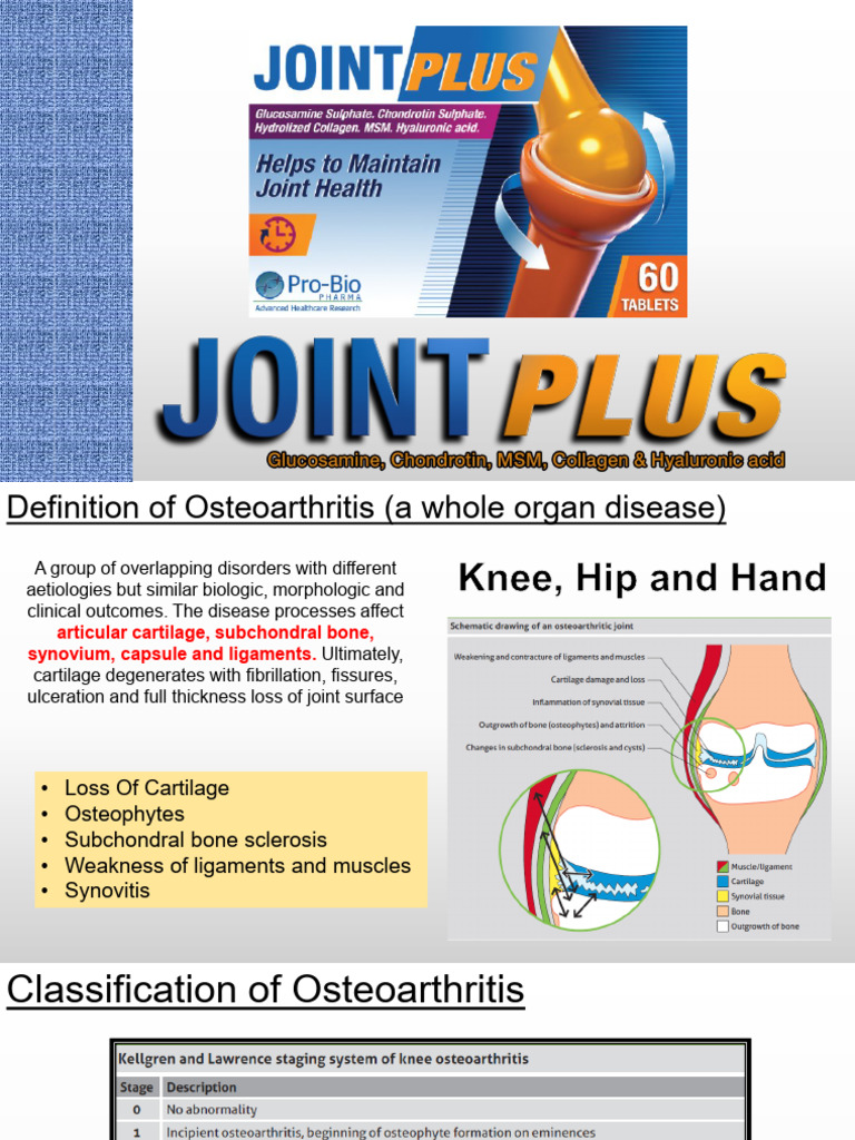 Joint Plus Product Knowledge | PDF | Osteoarthritis | Cartilage