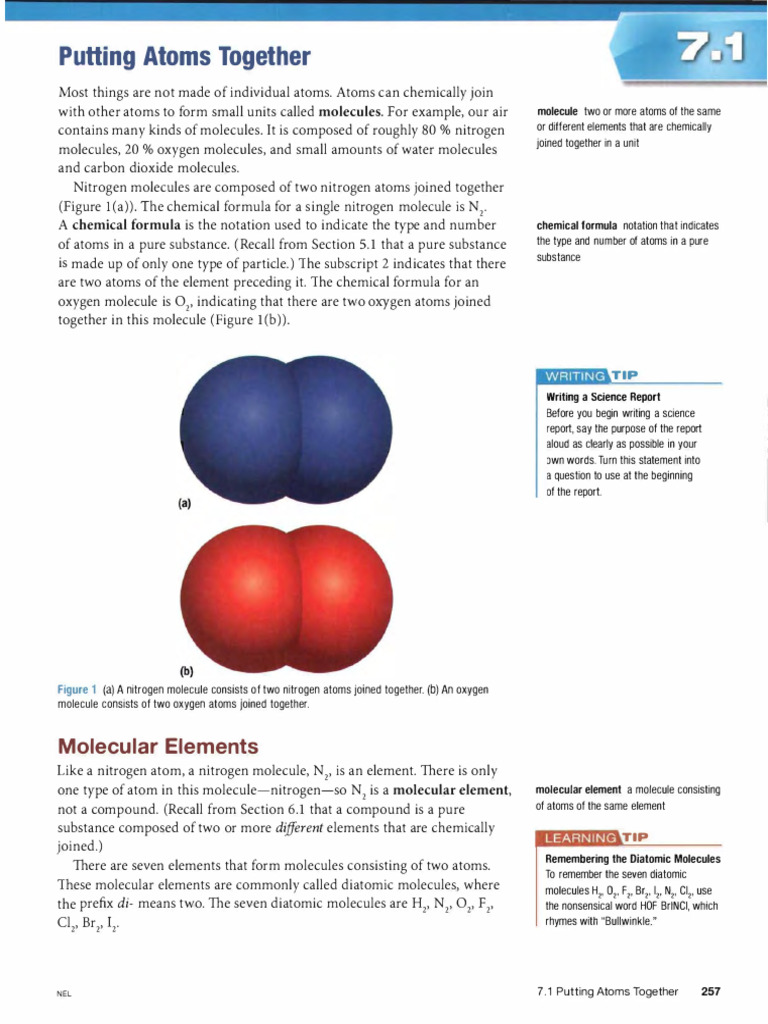 Grade 9 Science Perspectives - Chapter7 - pt1 | PDF