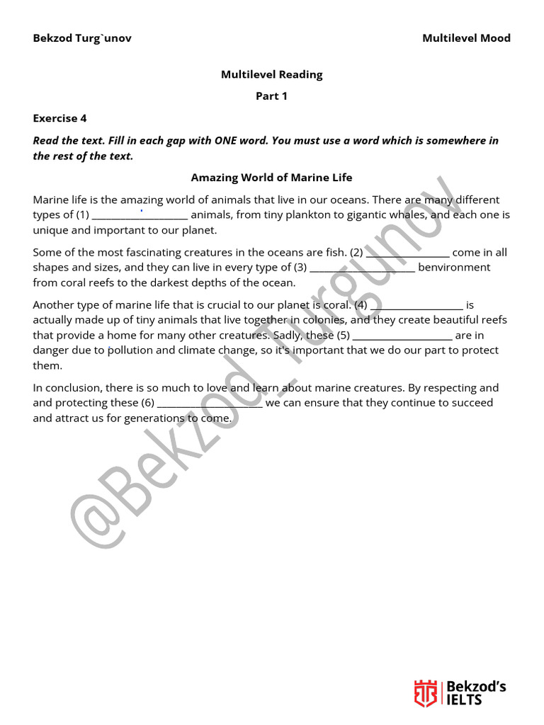 Multilevel Reading Part 1 - Exercise 4 | PDF