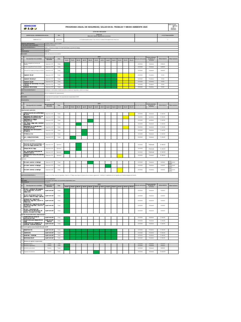 Programa Anual de SST 24 | PDF | Simulación