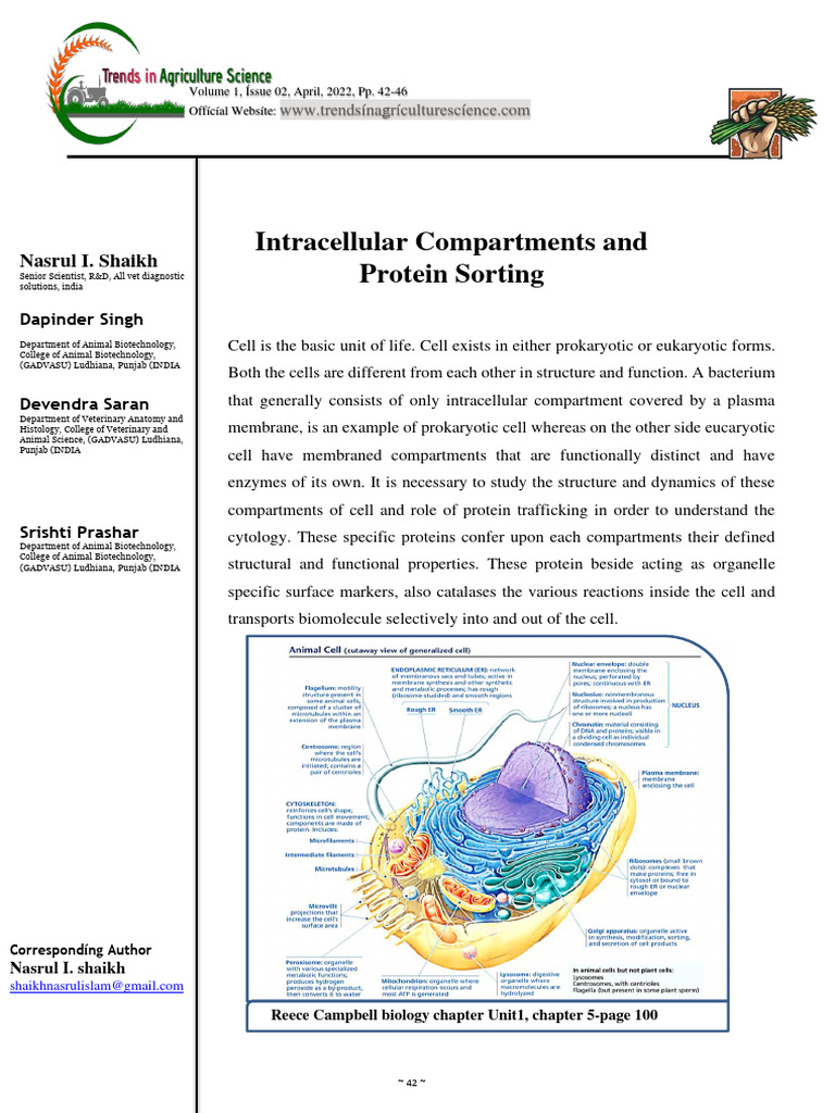Intracellular Compartments and Protein S | PDF | Cell (Biology ...